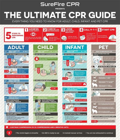 New Cpr Guidelines Cheat Sheet