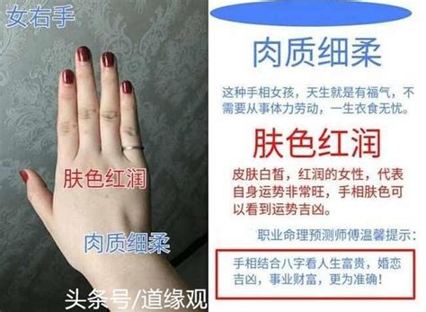從手相這些方面可以看出，福氣，勞碌，婚戀，財富等 每日頭條