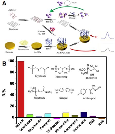 A Schematic Diagram Of The Construction Of A Microcystin‐lr Mc‐lr