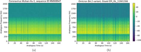 Examples Of Analogous Time Frequency Representation Of The Strand Of