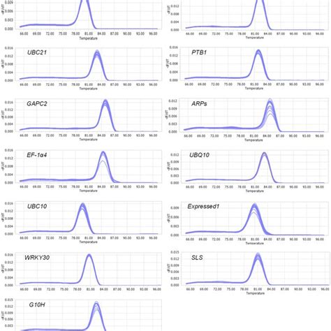 Melting Curves For Genes Melting Temperatures Were Visualized By