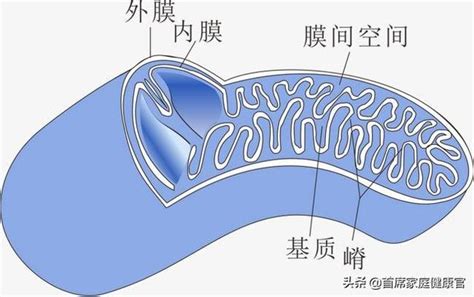 地球上為什麼到處都是病毒和細菌，科學早已證明人是細胞構成 每日頭條