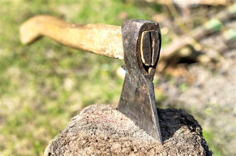Axe Stuck In The Stump Stock Photo Image Of Firewood 115321950