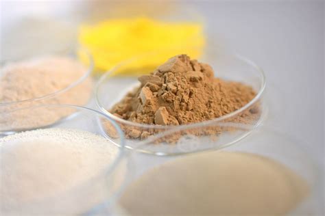 Biogas Enzim Mengurangi Bahan Baku Biomassa Proses Fermentasi Biogas Meningkatkan Produksi Biogas