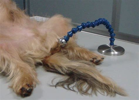 Ball Marker Xray At Helen Shields Blog