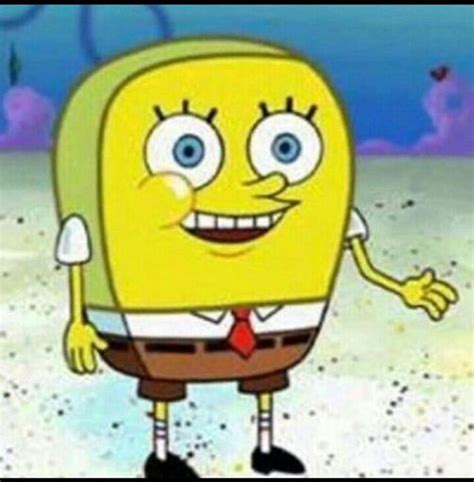 Normalpants Spongebob Squarepants Amino