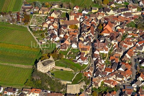 Burkheim Aus Der Vogelperspektive Herbstluftbild Dorf Ansicht In