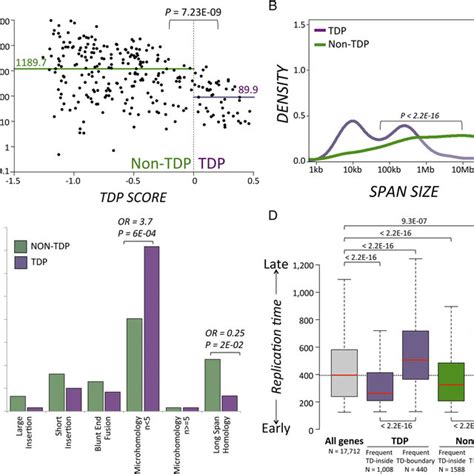 Genomic Features Of Tds In Tdp And Non Tdp Tumors A Correlation Of Download Scientific