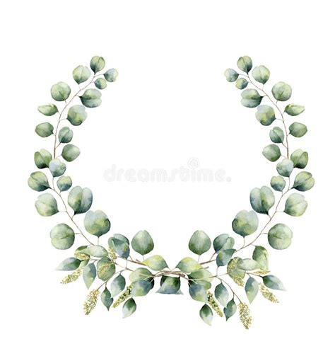 与绿色玉树叶子的水彩花卉花圈 与分支，叶子的手画花卉花圈种子和 库存例证 插画 包括有 仙人掌 土气 83300412