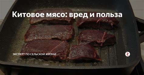 Китовое мясо вред и польза Эксперт по сельской жизни Дзен
