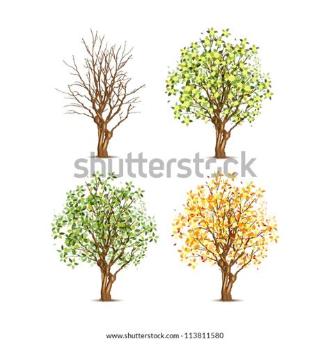 Set Of Four Trees In Different Seasons Vector Illustration Eps10 Transparent Shadow