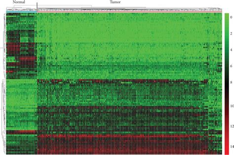 Heatmap Of Top 50 Upregulated And Top 50 Downregulated DElncRNAs In