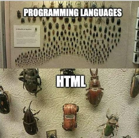Relatable but different kind.. : r/ProgrammerHumor