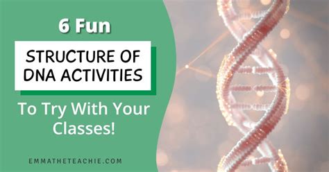 6 Fun Structure Of Dna Activities To Try Emmatheteachie Blog