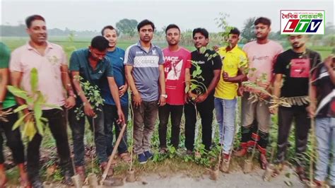 সোনাবাড়ীয়ায় পরিবেশ বান্ধব ফলজ ও বনজ গাছের চারা রোপন Youtube