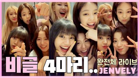 블랙핑크 블핑 완전체가 모이면 생기는 일 Youtube