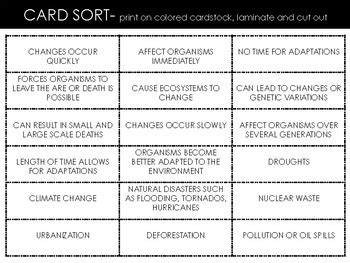 Short And Long Term Environmental Change Card Sort Activity By CANCEL
