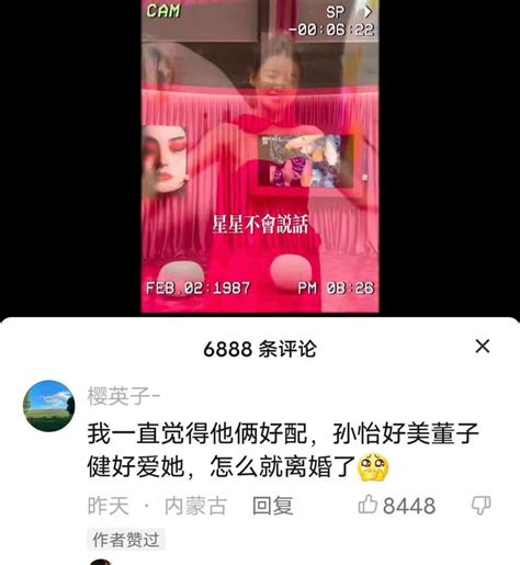网友为孙怡董子健的婚姻惋惜，孙怡意外点赞该评论，手滑还是意难平？孙怡董子健婚姻新浪新闻