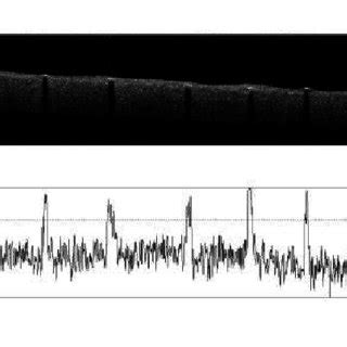 Demonstration Of The Maximum Intensity Metric Download Scientific Diagram