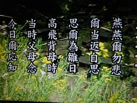 親心に泣かされる漢詩白楽天の燕詩 剣持雅舟のブログ