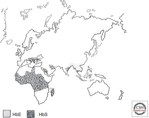 World Distribution Population Genetics And Health Burden Of The Hemoglobinopathies