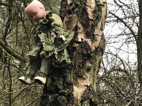 Creepy Moment Walker Discovers Dozens Of Baby Dolls Nailed And Tied To Trees Big World Tale