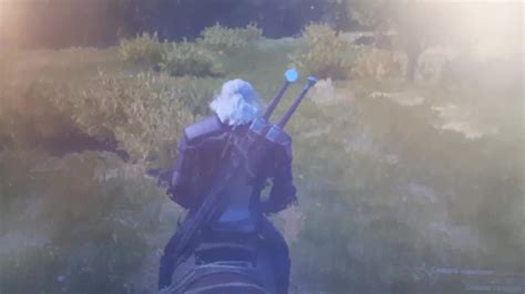 During The Computer Game The Witcher It Is A Pleasure To Finish