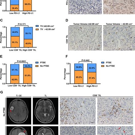 The Association Among The Pd L1 Expression Cd8⁺ Til Levels And