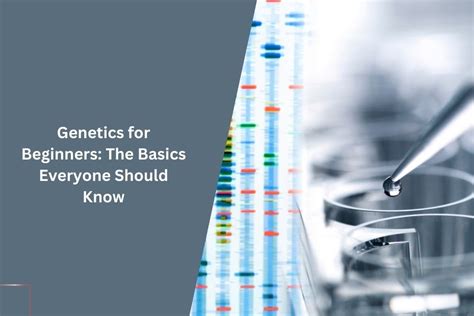 Genetics For Beginners The Basics Everyone Should Know Thomas J