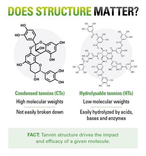 Tannin Structure