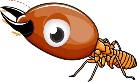 Termite Pngs For Free Download