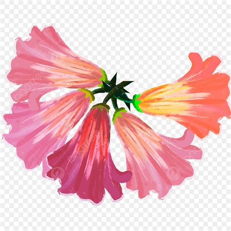 색상 일러스트 꽃 개화기 자연 꽃 개화기 경관 Png 일러스트 및 Psd 이미지 무료 다운로드 Pngtree