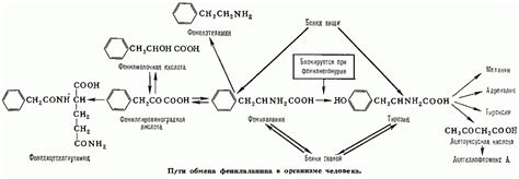 ФЕНИЛАЛАНИН