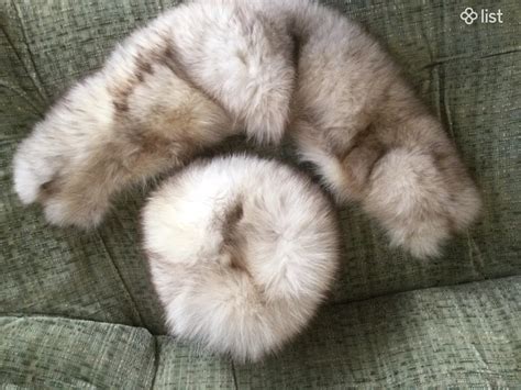 Պիսեցի գլխարկ և օձիք Գլխարկներ List Am