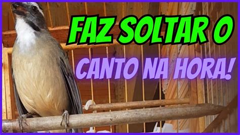 TRINCA FERRO CANTANDO PARA ESQUENTAR Esquente Seu Trinca Ferro YouTube