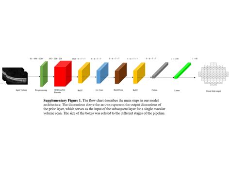 Pdf Prediction Of Central Visual Field Measures From Macular Oct
