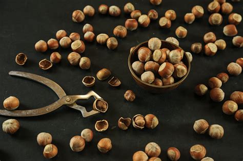 나무 배경에 헤이즐넛 힙 또는 헤이즐넛 의 스택 치유 음식 6에 대한 스톡 사진 및 기타 이미지 6 갈색 개암나무