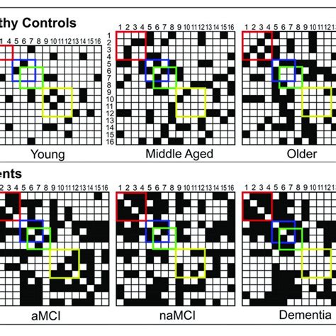 Binary Adjacency Matrices For Participant Groups Panel A Shows The