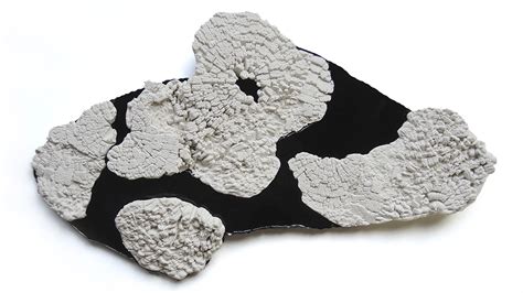 Lilia Bakanova and Evgenia Makarova: artists who are not afraid to ...