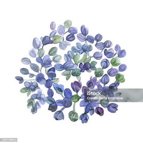 파란색보라색 수국 머리의 수채화 흰색 배경에 피는 꽃을 손으로 그렸습니다 엽서 초대장 인사말 카드에 적합 6월에 대한 스톡 벡터 아트 및 기타 이미지 Istock
