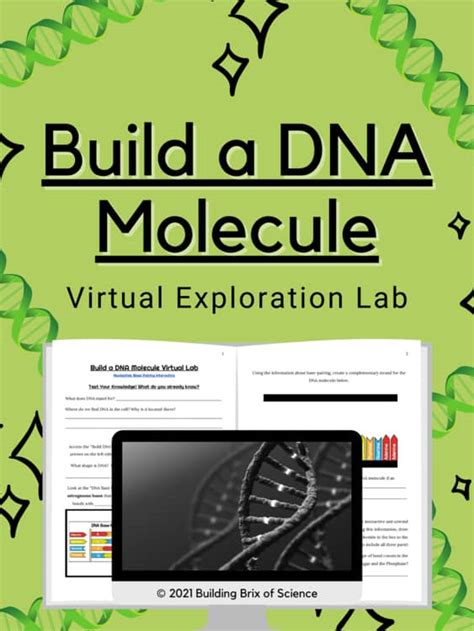 Build A Dna Molecule Lab Activity Guided No Prep Virtual Science Simulation