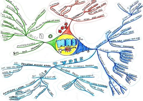 Neuron Concept Map