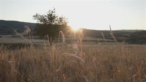 Sekis Video Videos Download The Best Free 4k Stock Video Footage