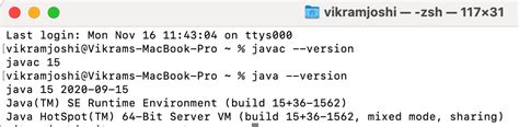 Macos JAVA Program Works In Terminal But Not In Visual Studio