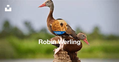 Robin Werling Robinwerling Unsplash Photo Community