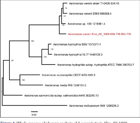 Figure 4 From Complete Genome Sequence Analysis Of The Multidrug