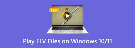 Opening Mac Files In Windows Sohovast
