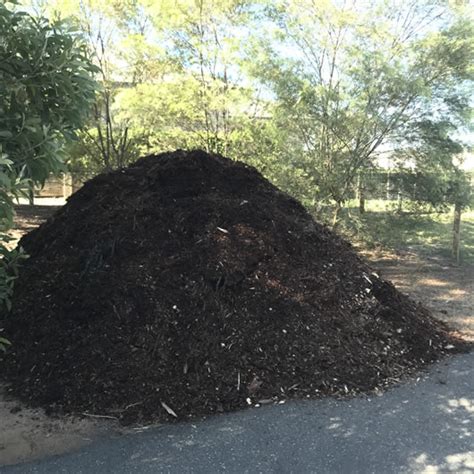 Buy Aged Forest Mulch Brisbane Dynamic Tree Solutions