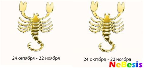Мужчина скорпион и женщина скорпион совместимость знаков