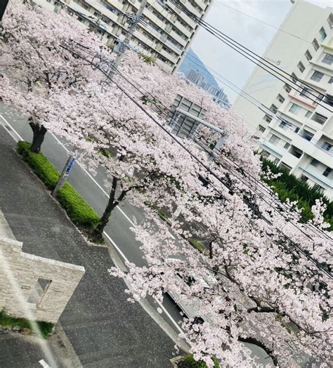 北九州小倉南区 小倉北区 サービス付き高齢者向け住宅 住宅型有料老人ホームへ 施設見学ご一緒いたしました 北九州老人ホーム紹介センター